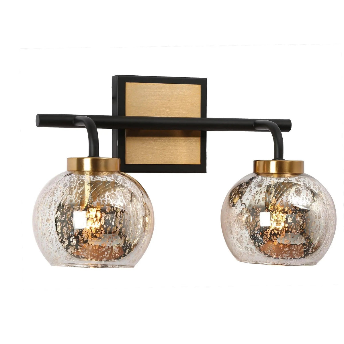 Rafflesia 2-Light Black and Brass Vanity Light | LNC — Belles Lighting